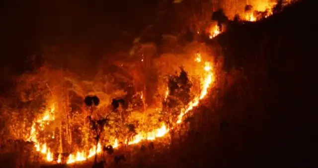 KEBAKARAN HUTAN : Kebakaran Terus Meluas, Jalur-Jalur Pendakian Diminta ... KEBAKARAN HUTAN : Kebakaran Terus Meluas, Jalur-Jalur Pendakian Diminta ...