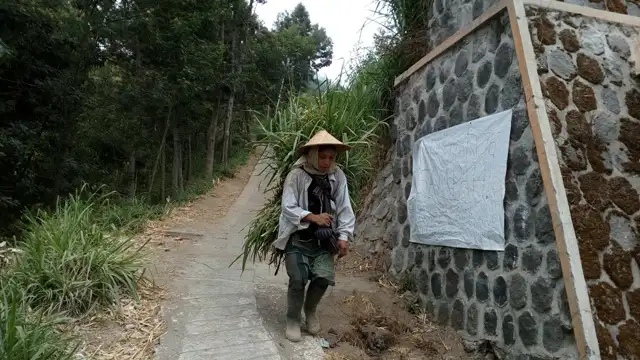 PENDAKIAN GUNUNG MERAPI : BTNGM Buka Kembali Jalur Pendakian Merapi - Espos.id
