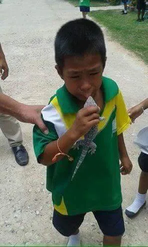 KISAH TRAGIS : Bocah Ini Digigit Tokek Peliharaannya Sampai Bibirnya ...