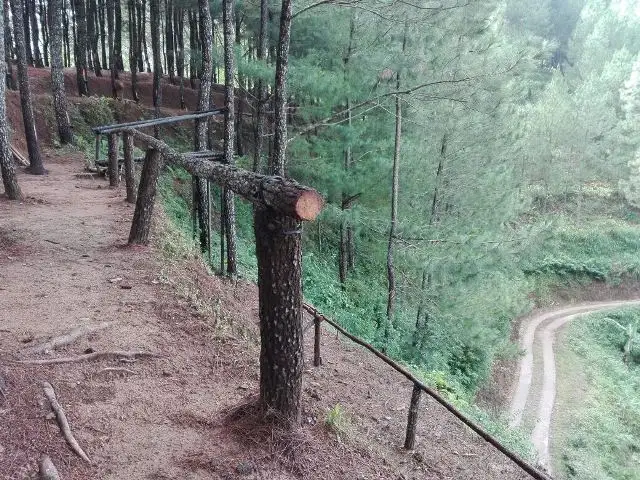 WISATA MADIUN : KPH Lawu Buka Objek Wisata Hutan dan Kebun Stroberi ...