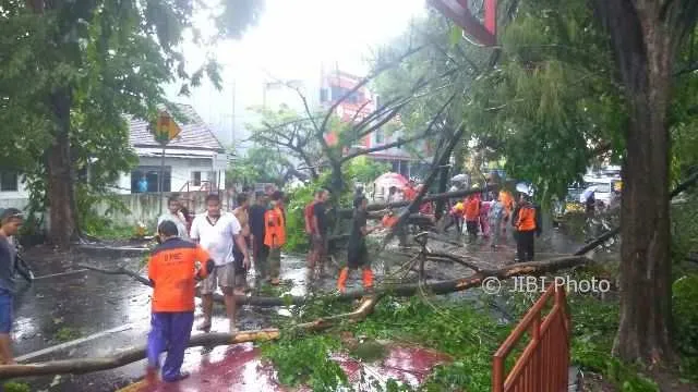 Hujan Deras & Angin Kencang di Solo Tumbangkan Pohon & Kabel Listrik - Espos.id