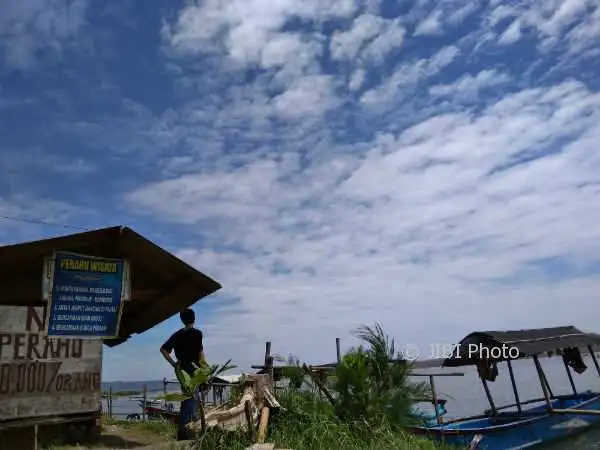 Laguna Samas Mendangkal, Ini Penyebabnya - Espos.id
