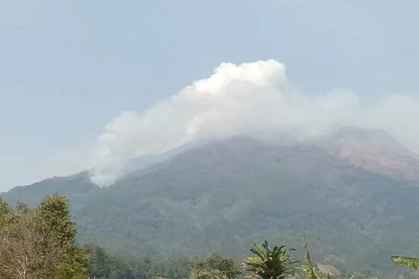 Kebakaran Hutan di Gunung Sumbing Tak Kunjung Padam - Espos.id