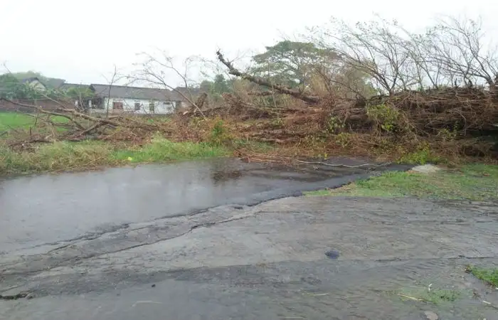 Angin Ribut Terjang Klaten, 4 Tiang Listrik Ambruk, 1 Timpa Truk - Espos.id