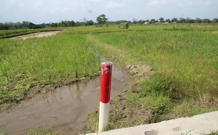 Heboh Patok Kayu Berafia di Lahan Tol Klaten, PT JMM: Bukan Pelebaran ...