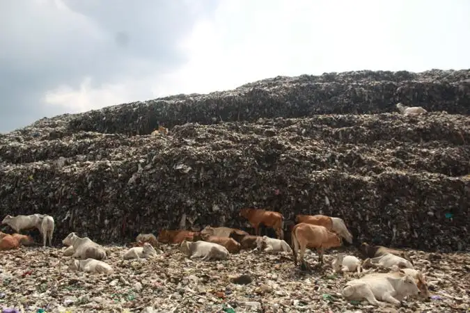 Emoh TPA Putri Cempo Terbakar Lagi saat Kemarau, Pemkot Solo Lakukan ...
