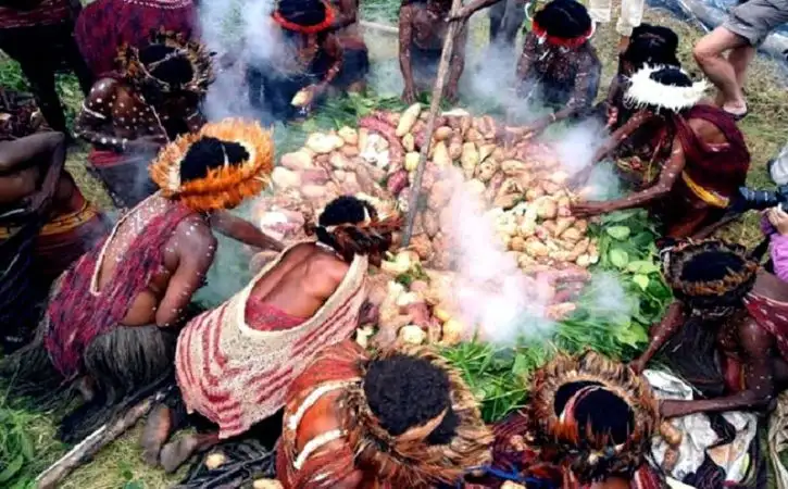 Garam Abu dan Tradisi Bakar Batu, Simbol Toleransi Khas Papua - Espos.id