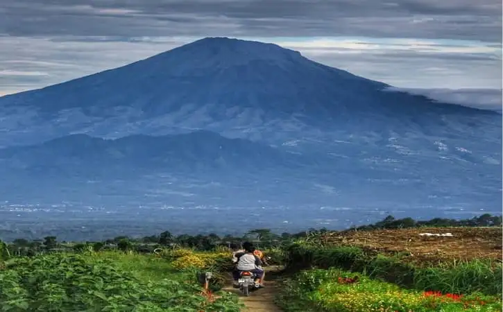 Tertinggi Kedua di Jawa Tengah, Gunung Sumbing Ternyata Masih Aktif - Espos.id