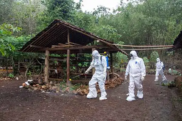 Berawal dari Tradisi Brandu, 20 Ekor Ternak di Gunungkidul Mati Positif Antraks - Espos.id