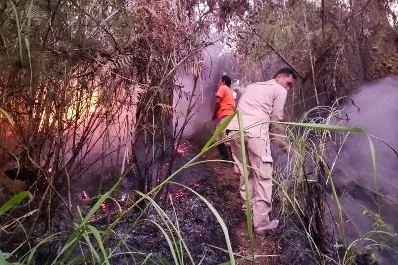 Antisipasi Kebakaran Hutan, Sejumlah Jalur Pendakian Gunung di Jatim Ditutup - Espos.id