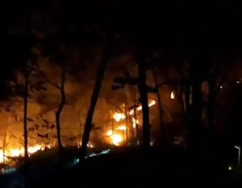 Kebakaran Hanguskan 30 Hektare Hutan dan Lahan Warga di Sendangijo Wonogiri - Espos.id