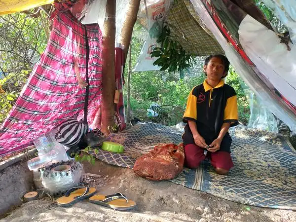Kisah Pilu Bapak-Anak Tinggal di Tenda Reyot Beralas Tikar di Kebun ...
