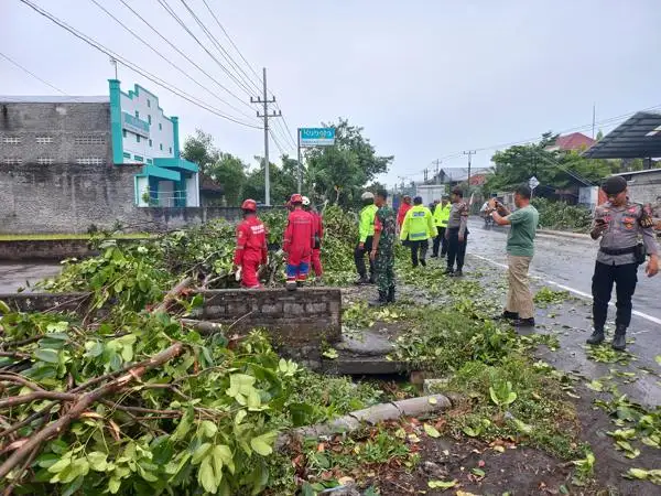 Angin Ribut Terjang 14 Kecamatan di Klaten, Pohon hingga Papan Reklame Ambruk - Espos.id