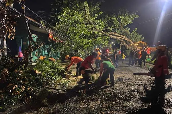 Hujan Deras Disertai Angin Kencang dan Petir Landa Solo, Sejumlah Pohon Tumbang - Espos.id