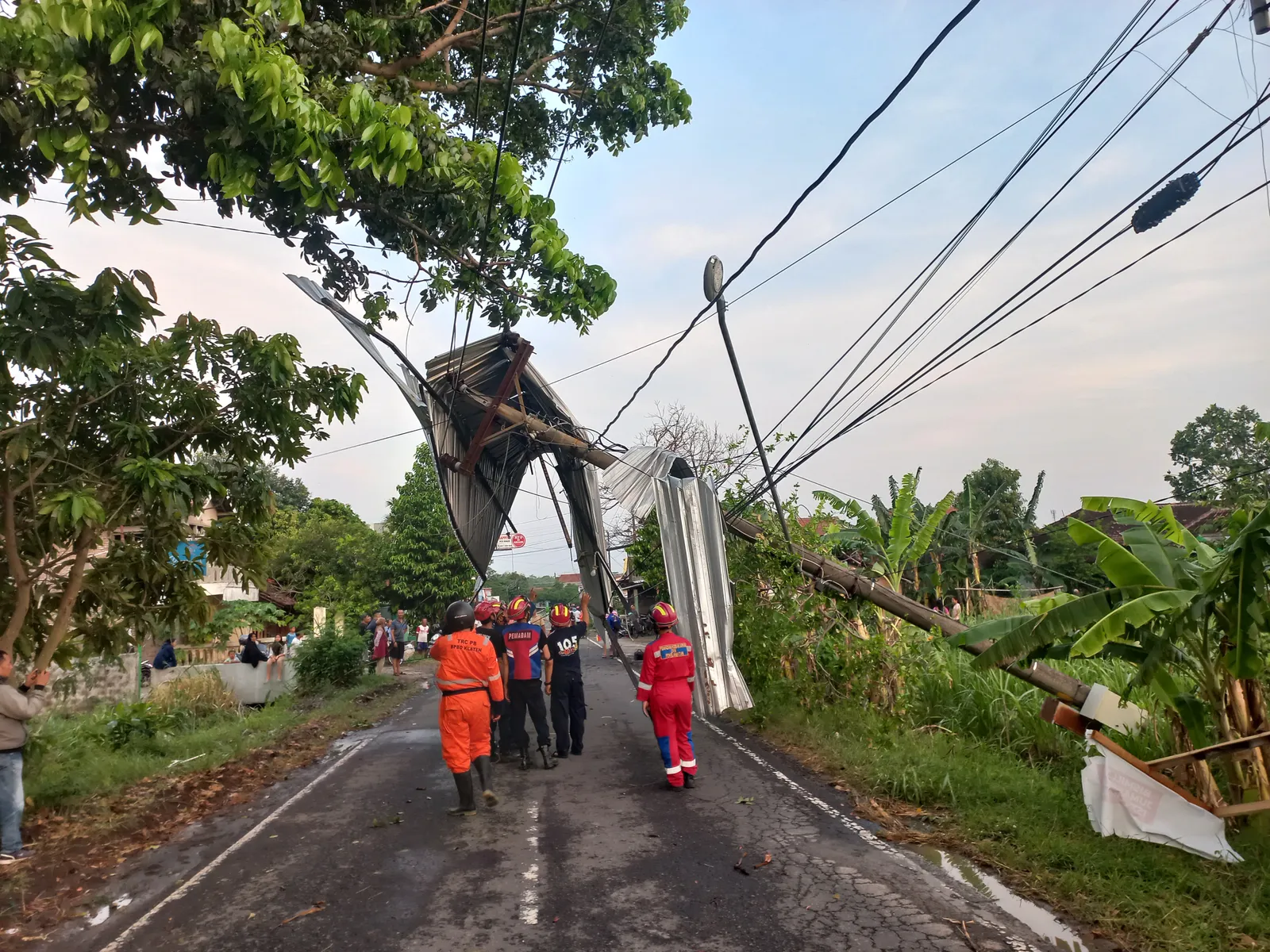 Angin Ribut Tumbangkan Pohon dan Tiang Listrik di Jl. Penggung-Jatinom Klaten - Espos.id