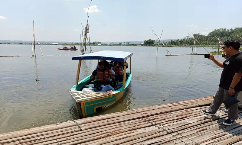 Air Rawa Pening Tercemar, Perum Jasa Tirta I Tebar 50.000 Benih Ikan ...