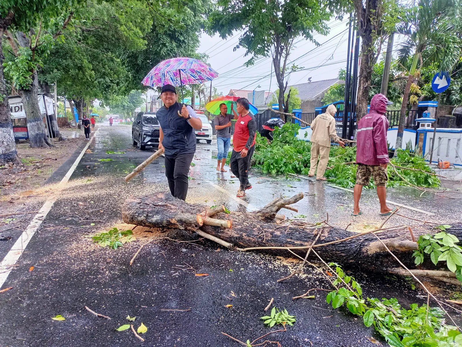 Hujan Disertai Angin Kencang di Sukoharjo, Banyak Pohon Tumbang - Espos.id