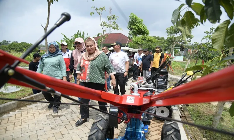 Peresmian Embung Geomembran, Dukungan Pemkot Semarang untuk Pertanian ...