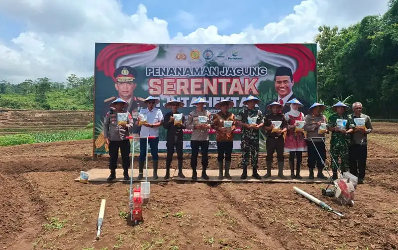 Dukung Swasembada Pangan, Karanganyar Optimalkan Lahan Tidur untuk Tanam Jagung - Espos.id