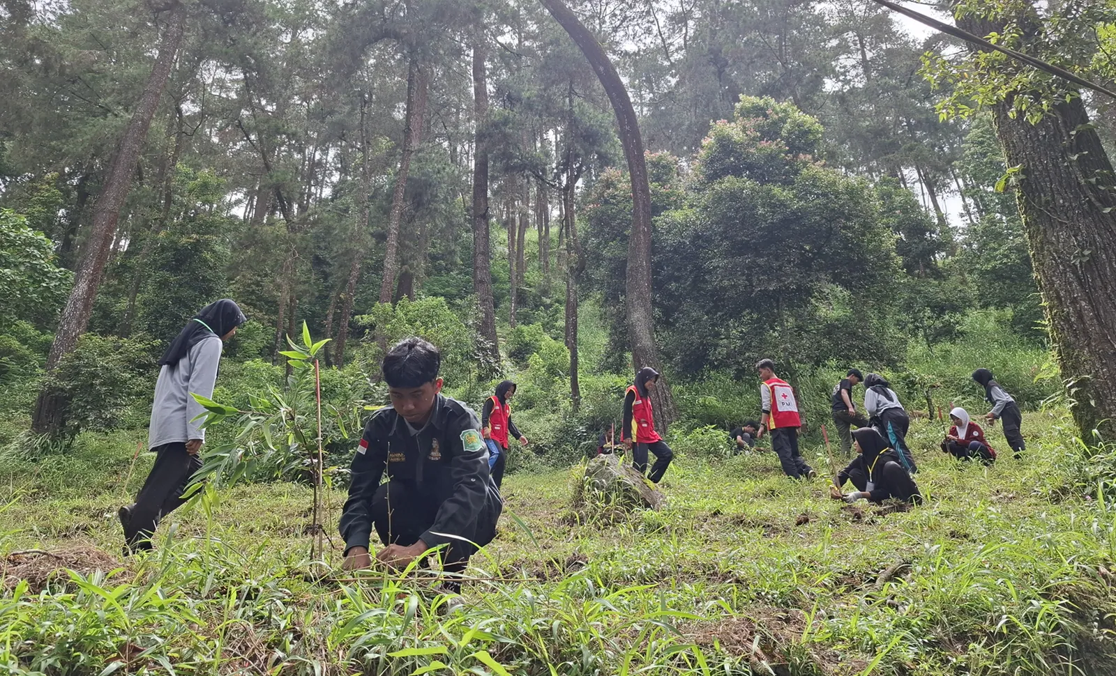 Ratusan Pelajar Karanganyar Tanam Pohon di Kawasan Lereng Gunung Lawu - Espos.id