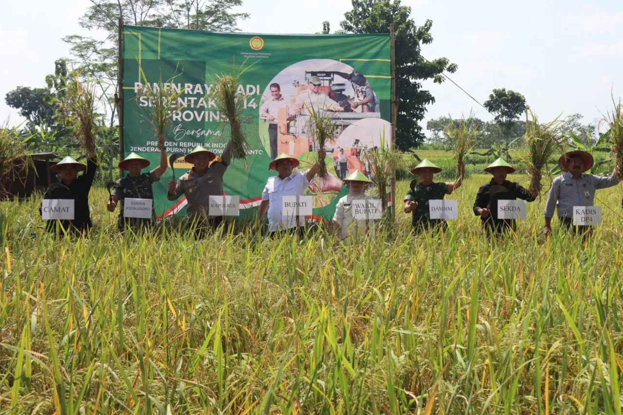 Blora Ikuti Panen Raya Padi Serentak di 14 Provinsi Bersama Presiden Prabowo - Espos.id